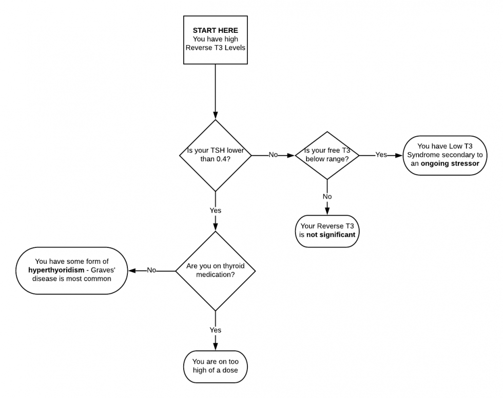 Reverse T3: The Four Top Causes of High Reverse T3 | Leading Authority ...